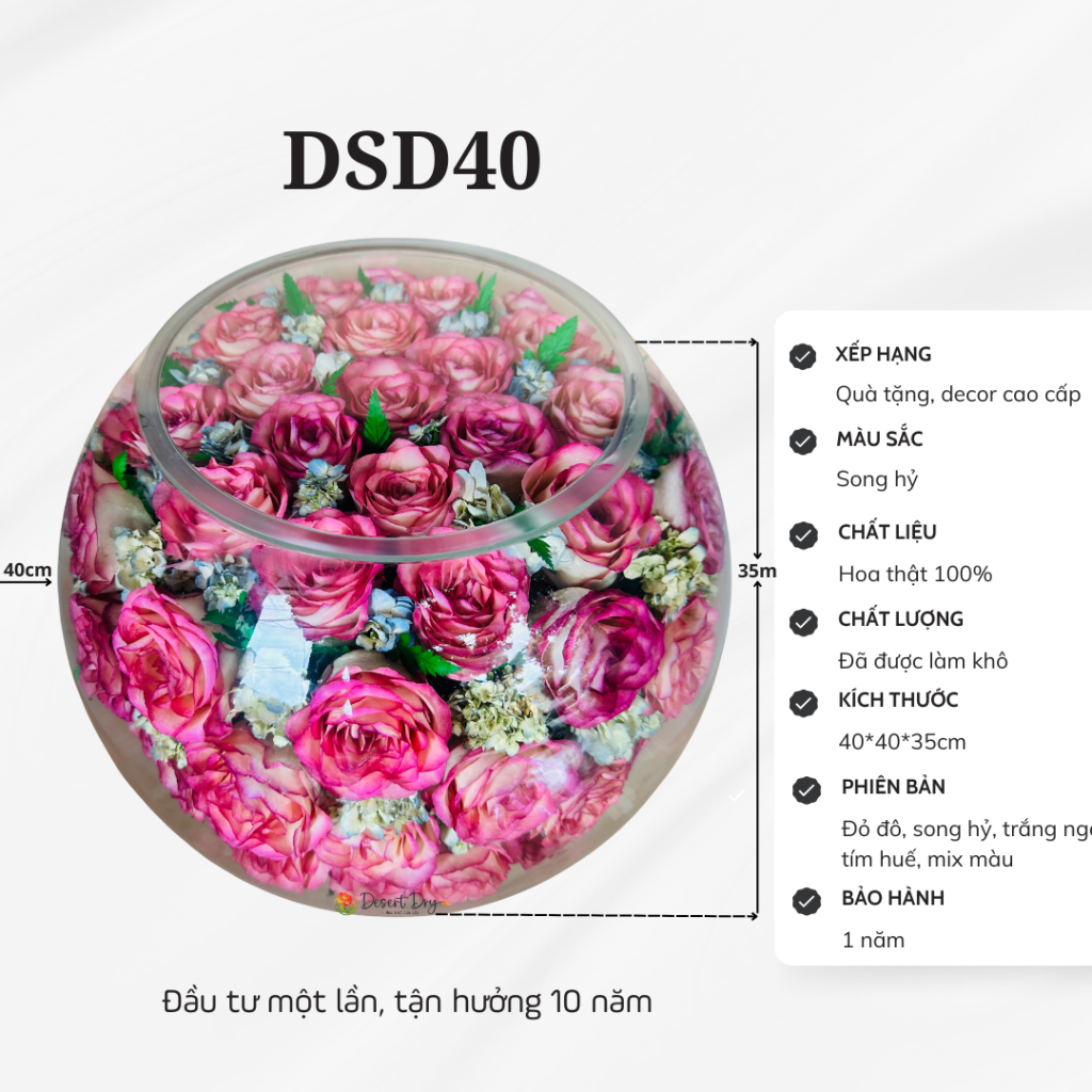 Bình DSD40 Song hỷ – Desert Dry