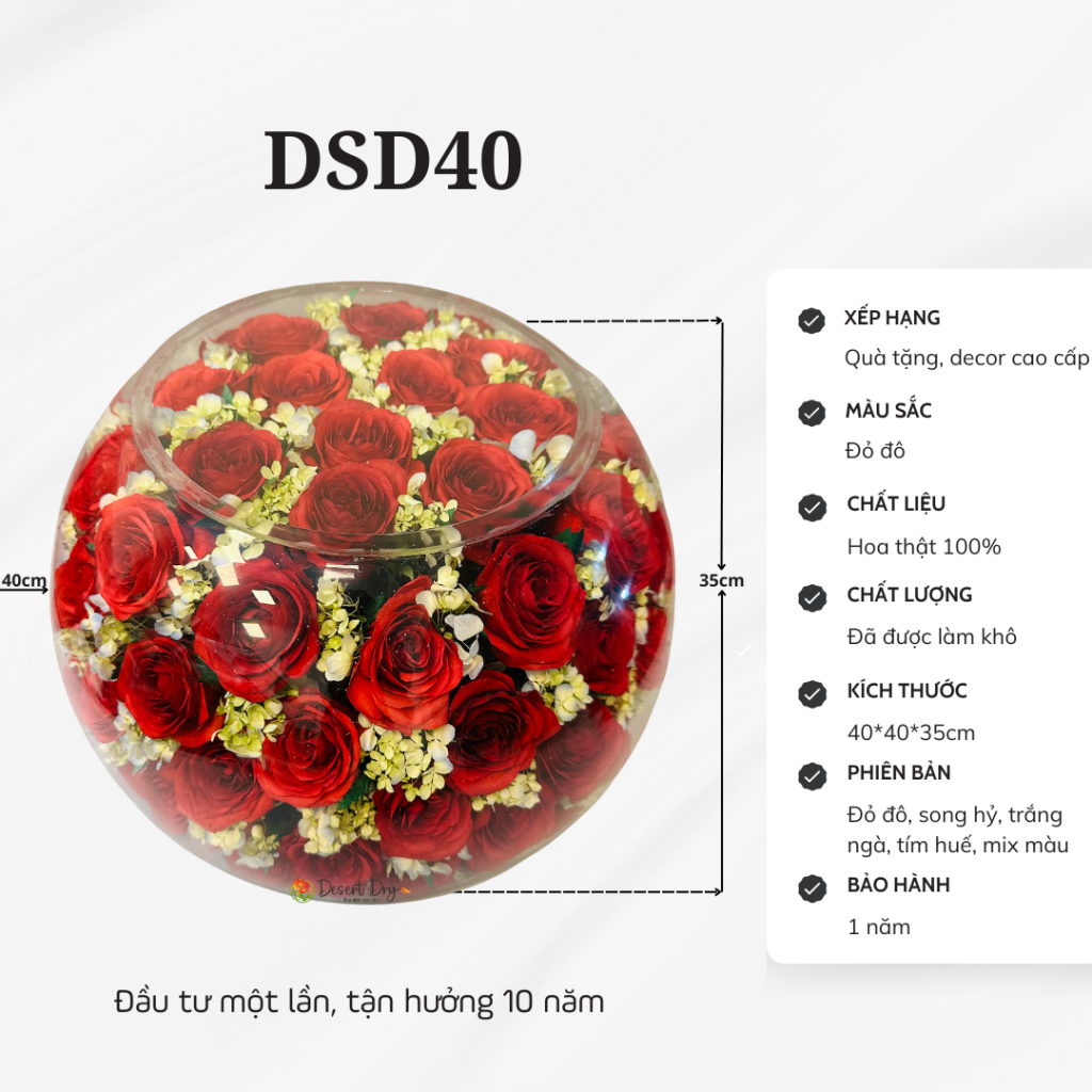 Bình DSD40 đỏ đô – Desert Dry